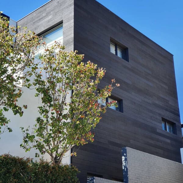 Burnt Cedar - AlterWood